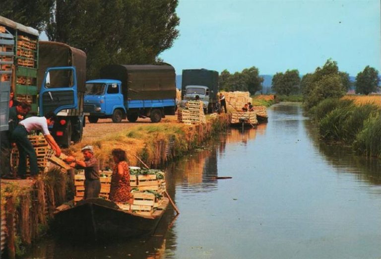 Le bacôve : grande barque traditionnelle du marais de Saint-Omer