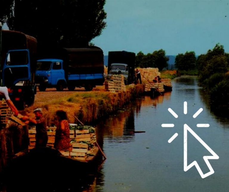 The bacôve: a large traditional boat from the Saint-Omer marshes